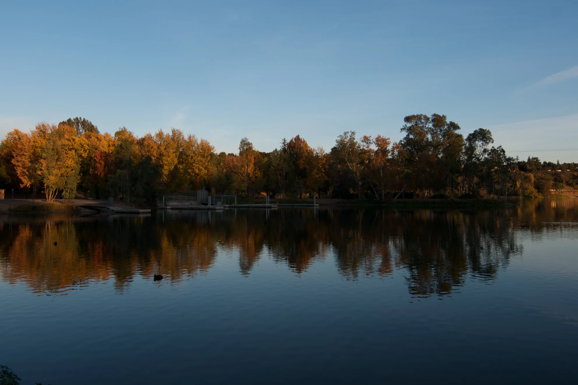 Fill In The Tree Line For A Richer Landscape Photo — Scott Davenport ...