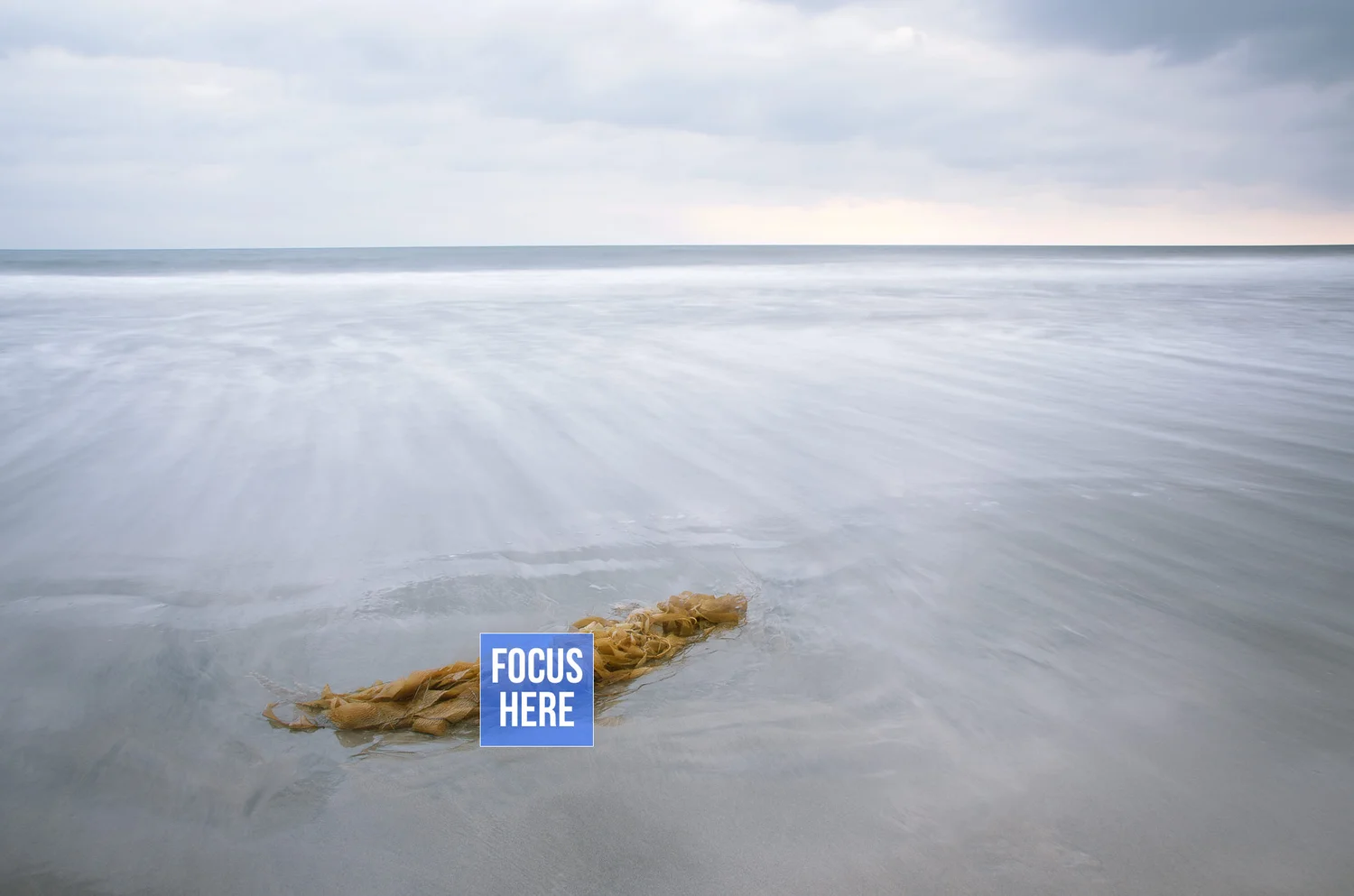 5 Tips To Nail Focus In Your Landscape Photos — Scott Davenport Photography