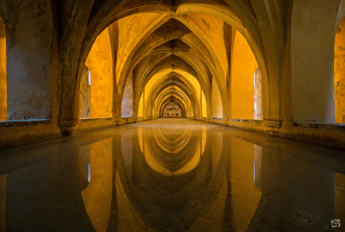 Plotagraph Advanced Workflow Ii Scott Davenport Photography