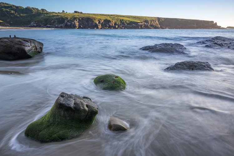 Stump Beach — Scott Davenport Photography