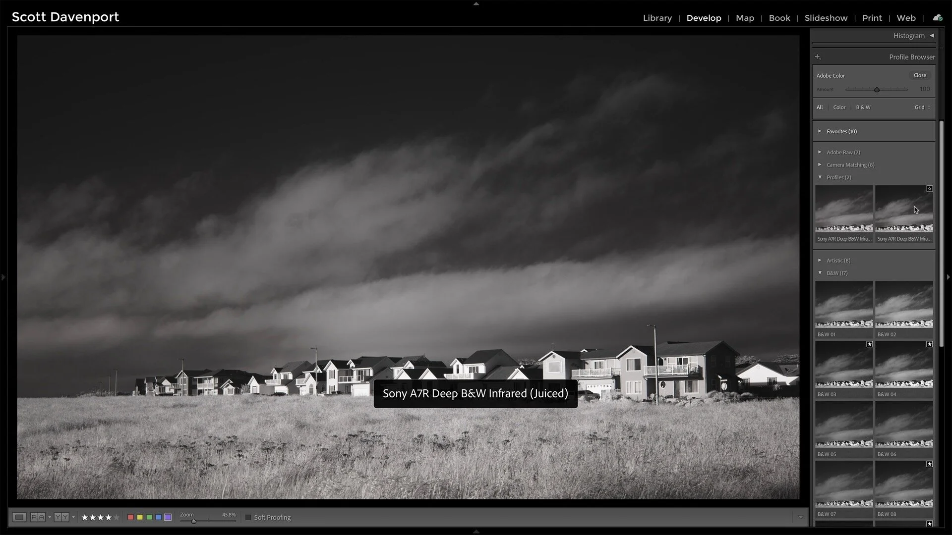 Jumpstart Your Black & White Infrared Processing - Lightroom — Scott Davenport Photography