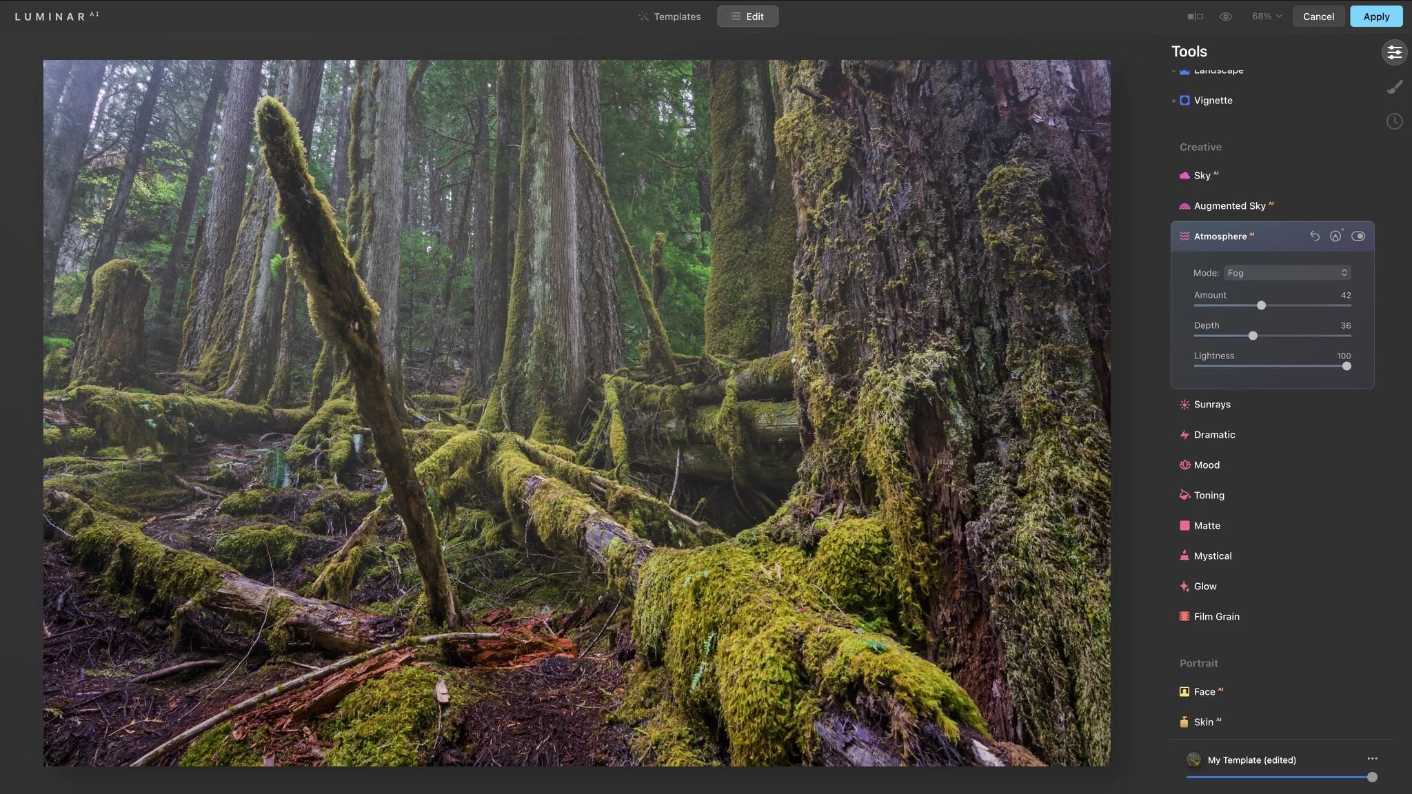 Tips For The Atmosphere AI Tool In Luminar AI — Scott Davenport Photography