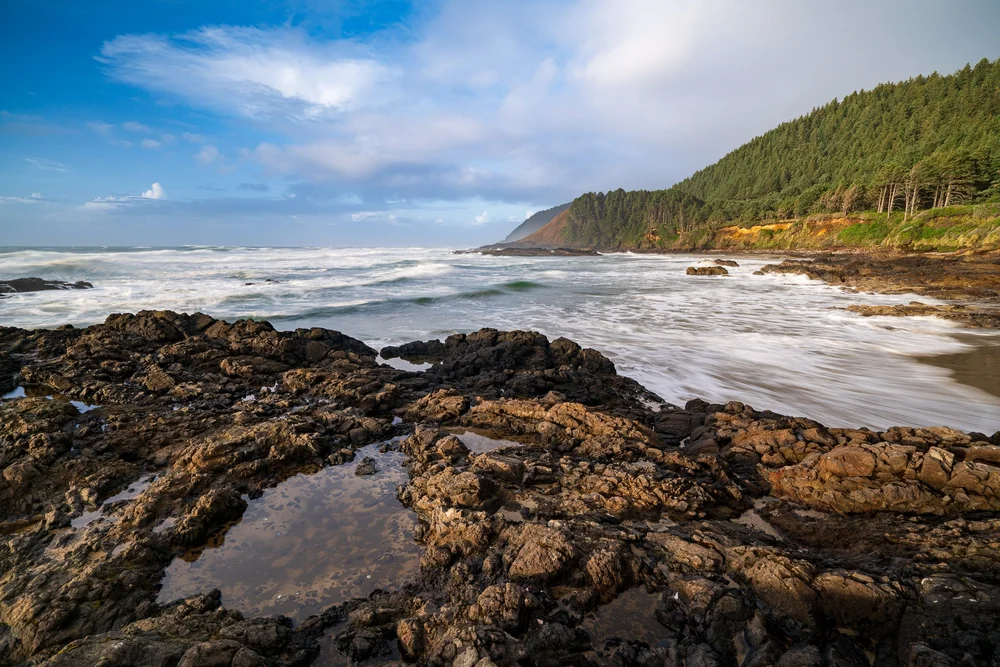 Strawberry Hill, Oregon - In The Field #553 — Scott Davenport Photography