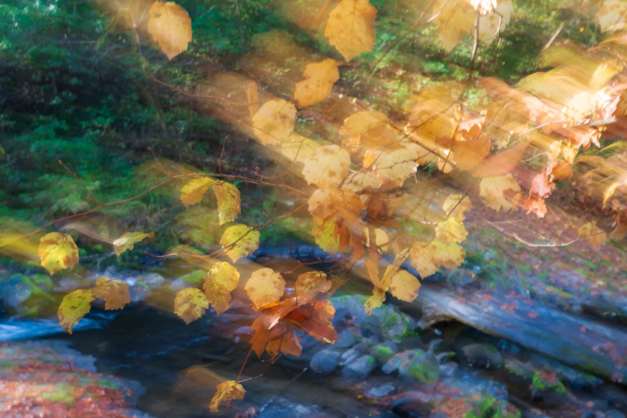 What Are Blending Modes In ON1? — Scott Davenport Photography