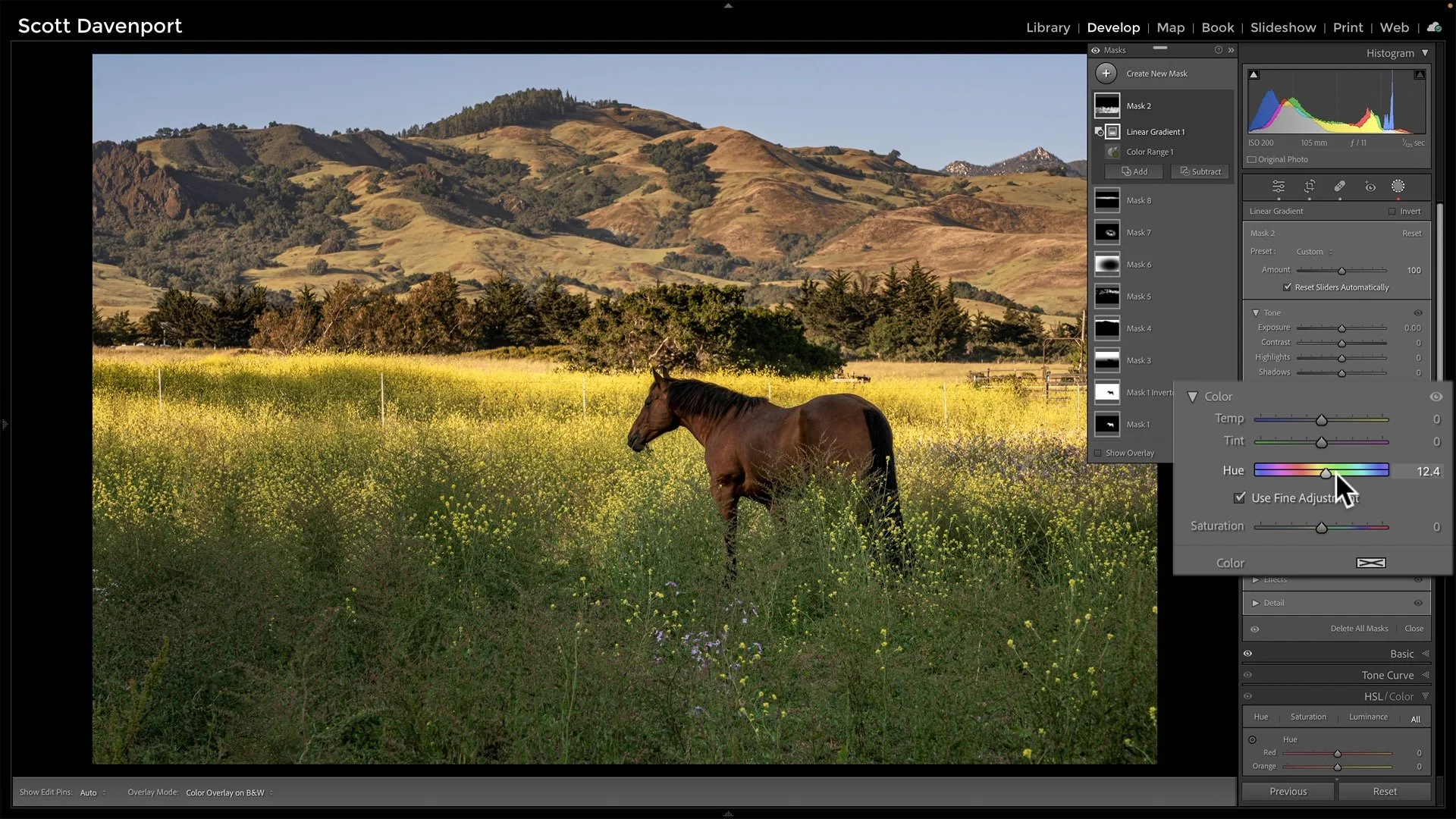 When Should I Use A Color Range Mask In Lightroom? — Scott Davenport ...