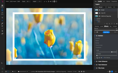Learn ON1 Photo RAW. All Of It. - ON1 Photo RAW Essentials — Scott ...