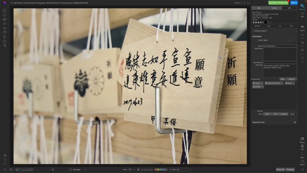 A Deeper Look At Keyword AI In Photo RAW 2023 — Scott Davenport Photography