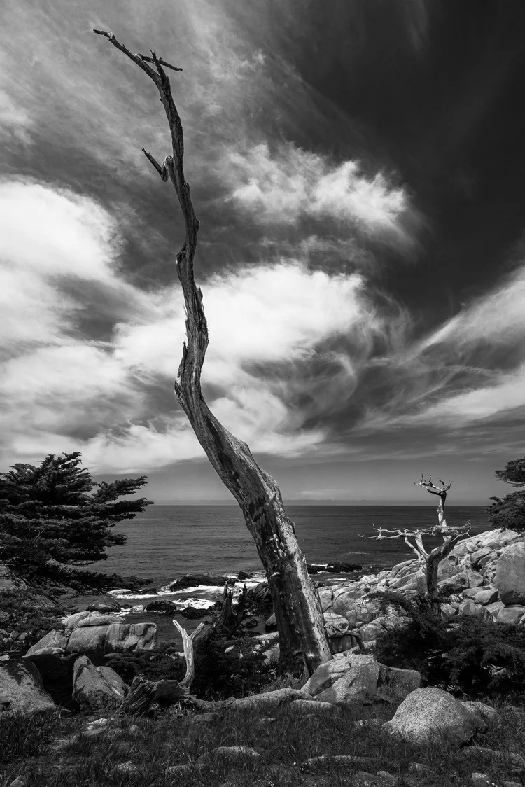 Building A Black And White Look - In Post #532 — Scott Davenport ...
