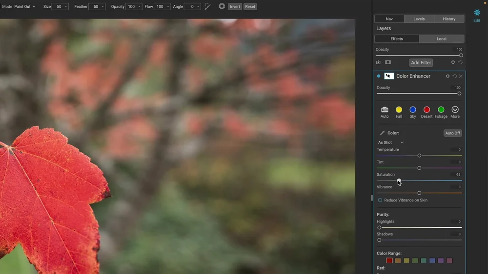 Desaturate Large Areas Of Your Photo In ON1 Effects — Scott Davenport ...
