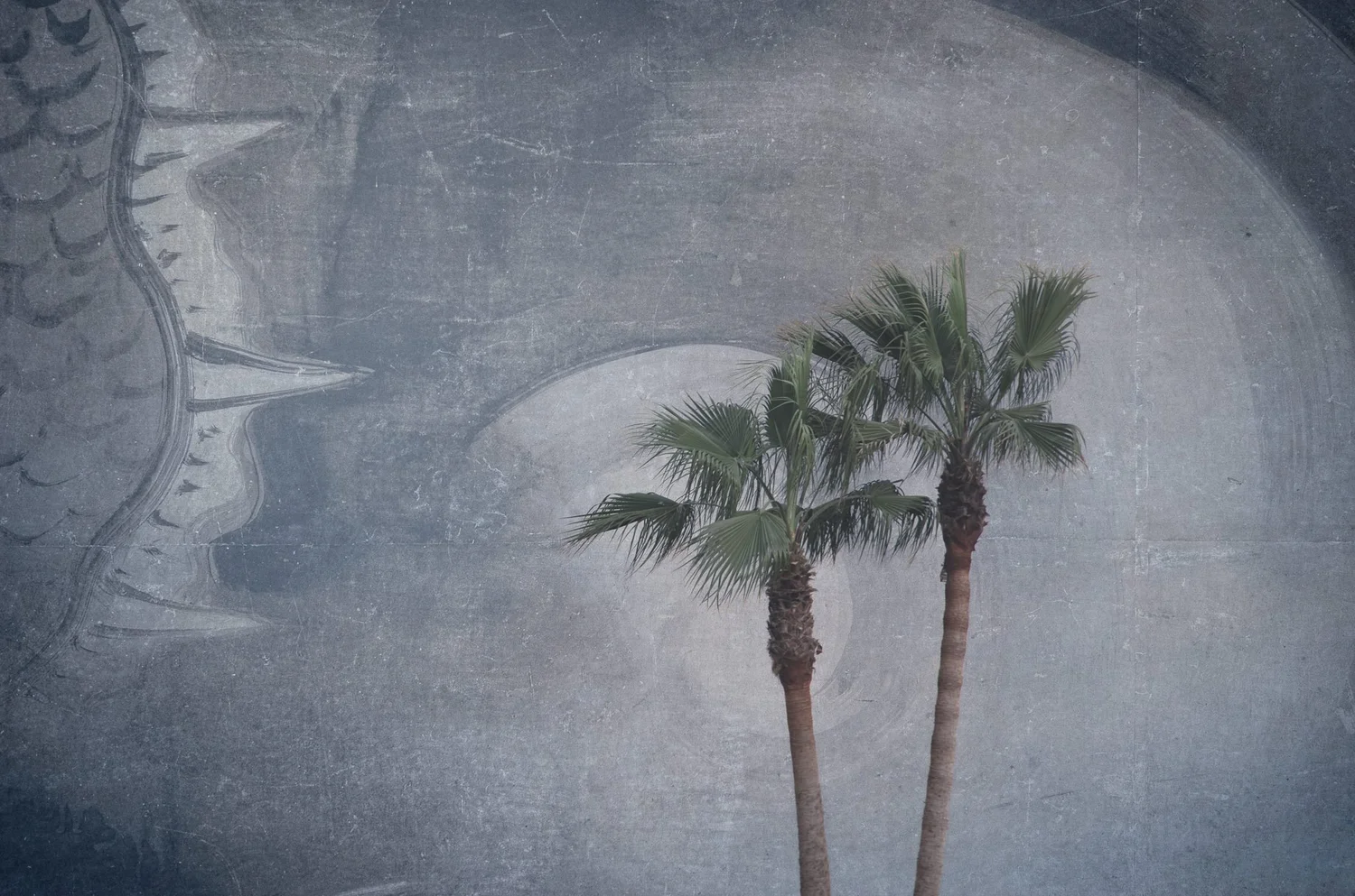 The Soft Light Blending Mode In ON1 — Scott Davenport Photography