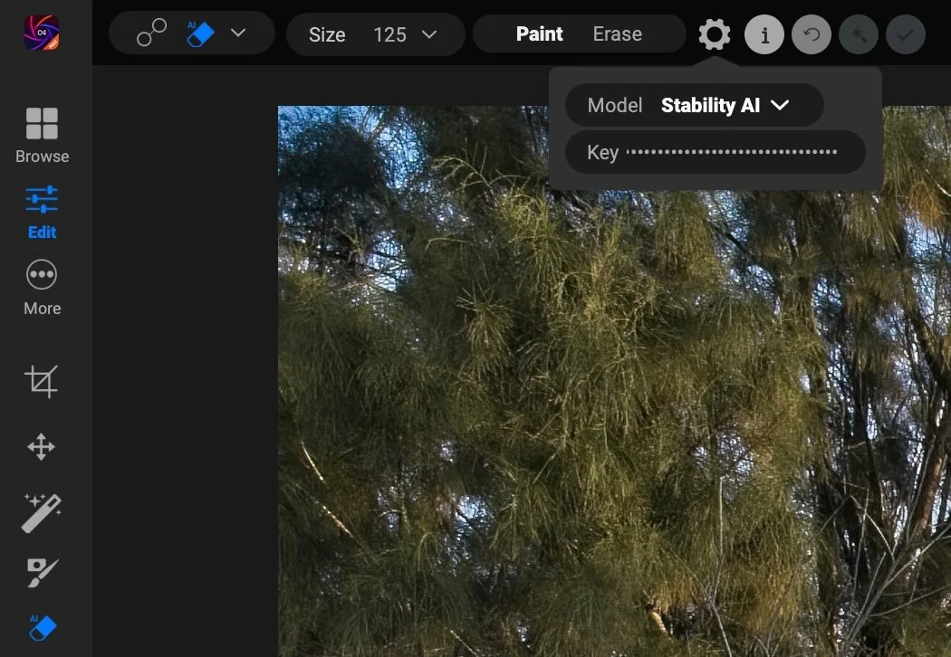 How To Setup Stability AI For ON1 Photo RAW — Scott Davenport Photography
