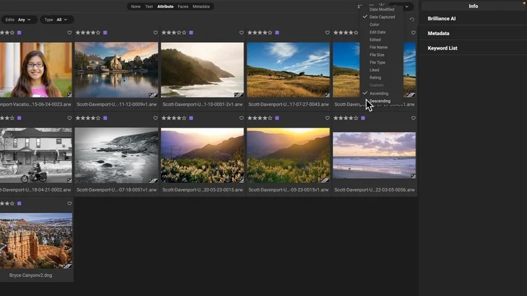 The More Powerful Search Bar In ON1 Photo RAW 2024 — Scott Davenport ...