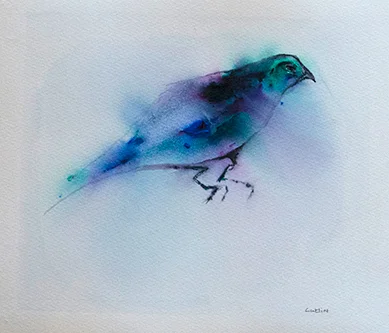 Gail Catlin — Kalk Bay Modern