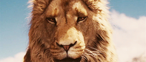 Aslan is on the Move — Desirée M. Mondesir