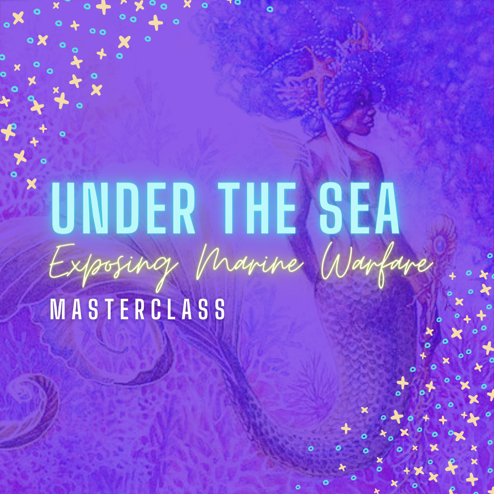 Bookstore — Desirée M. Mondesir