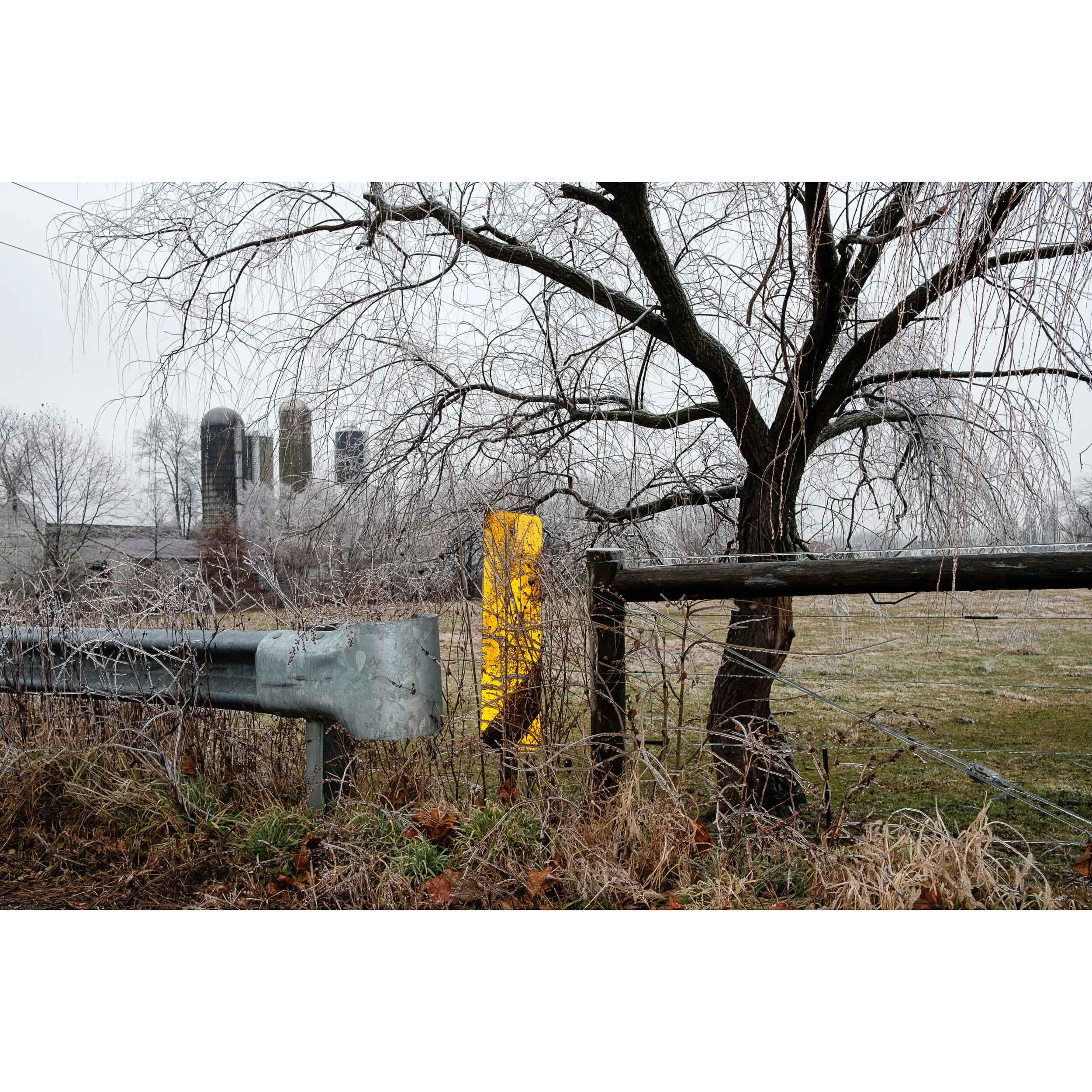 cowboy — theo anderson