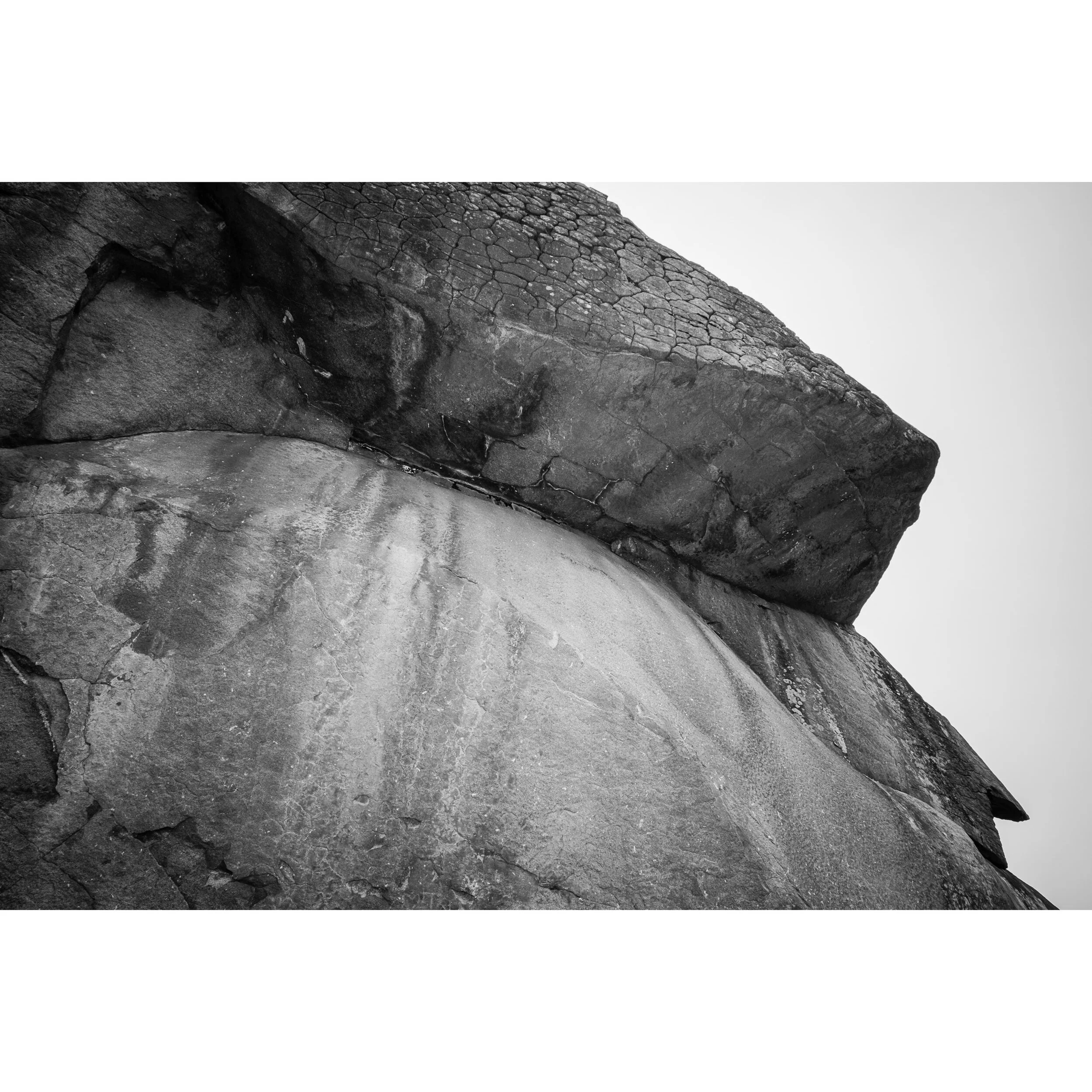 cowboy — theo anderson