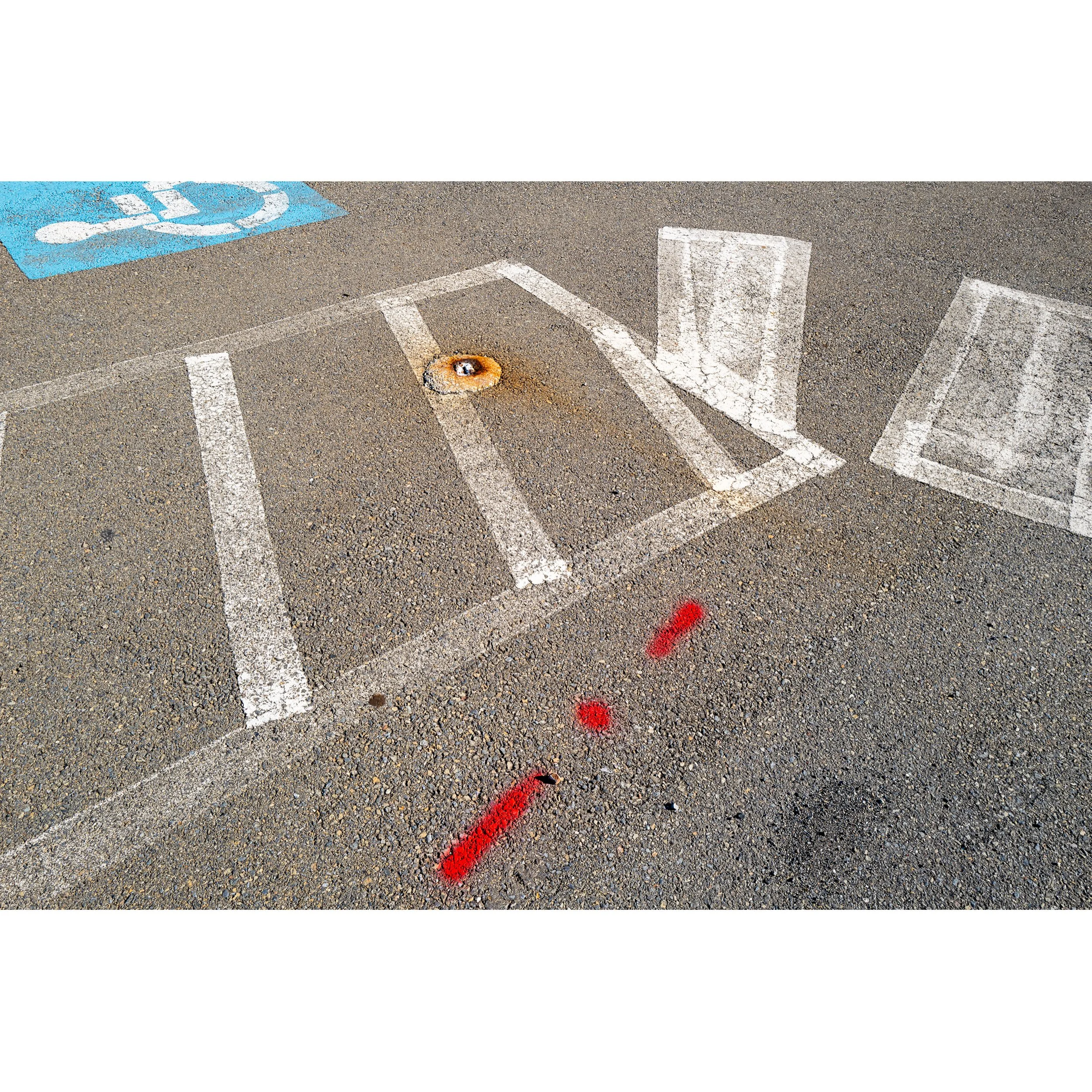 cowboy — theo anderson