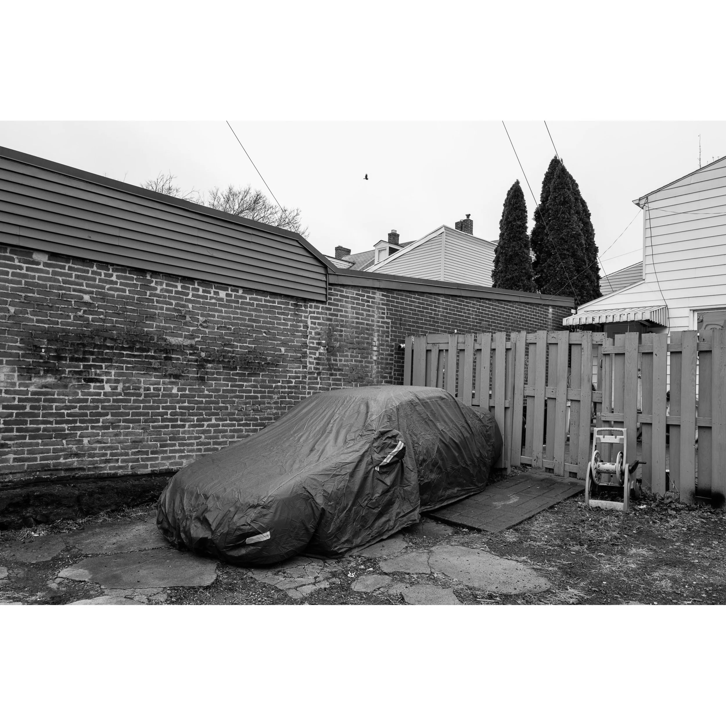 cowboy — theo anderson