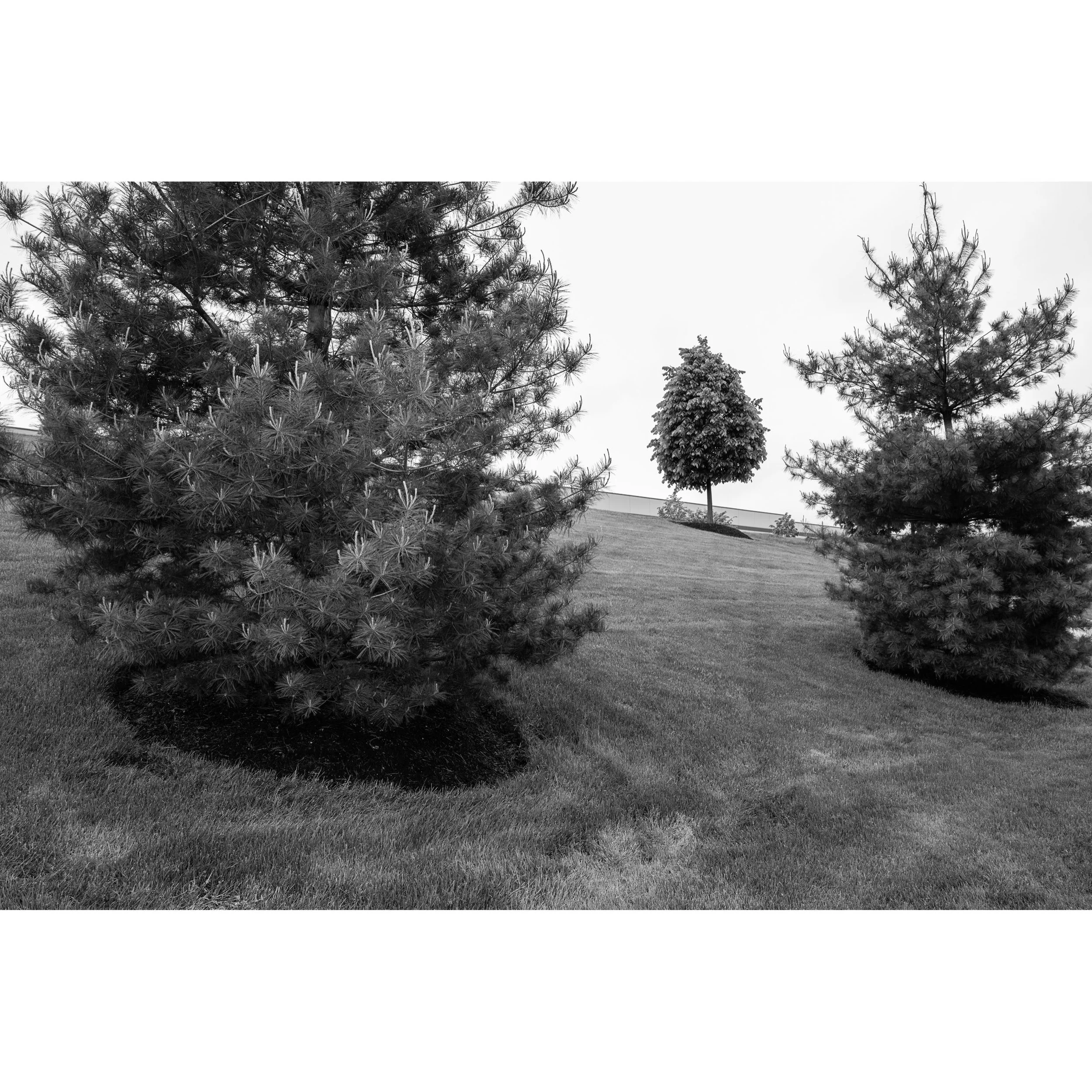 cowboy — theo anderson