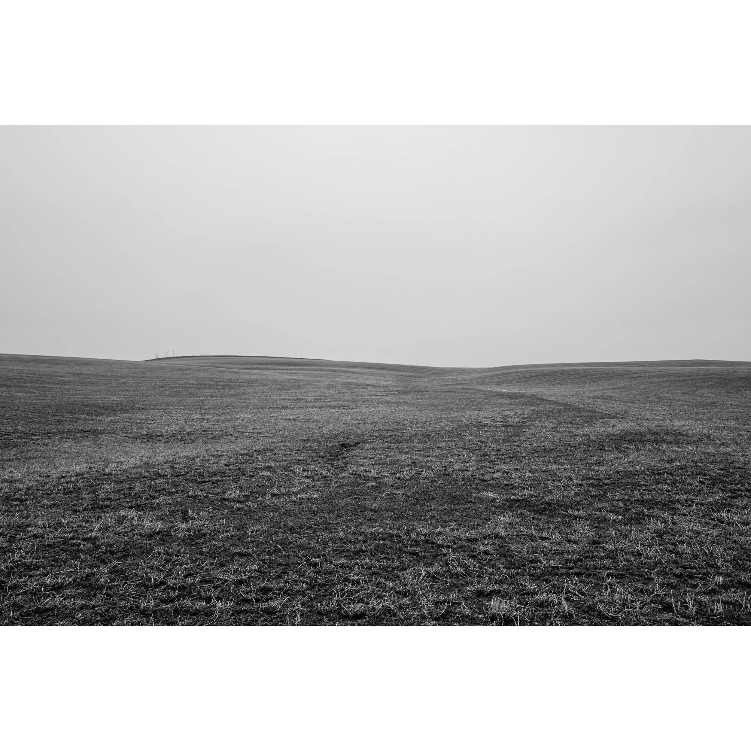 cowboy — theo anderson