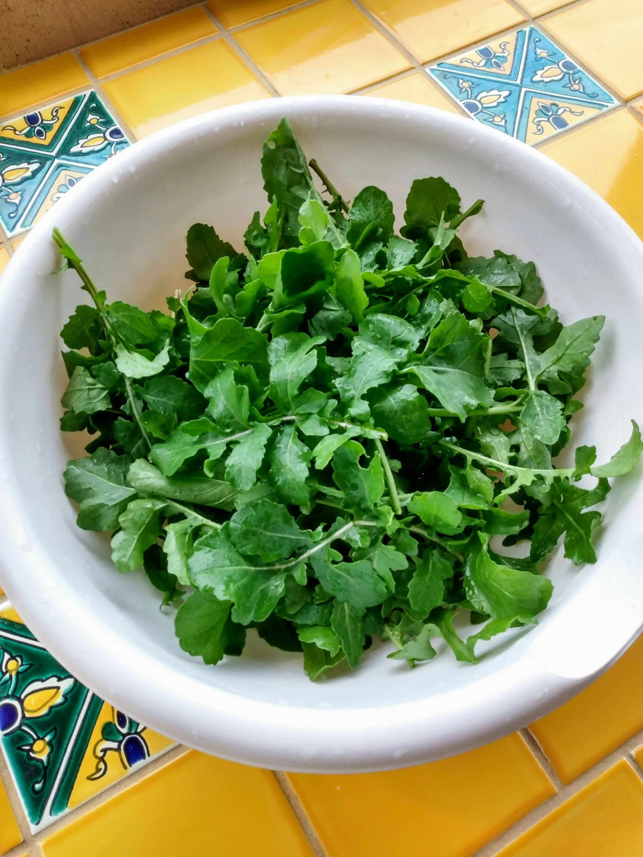 Shop — Macala Orchards