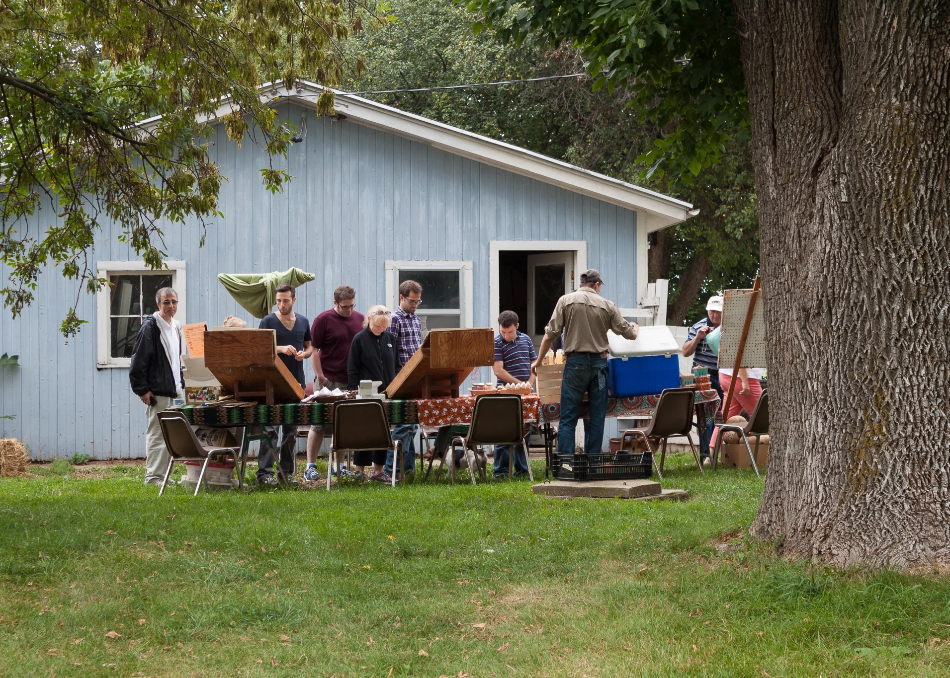 Scotch Hill Farm and Innisfree Farm Stay