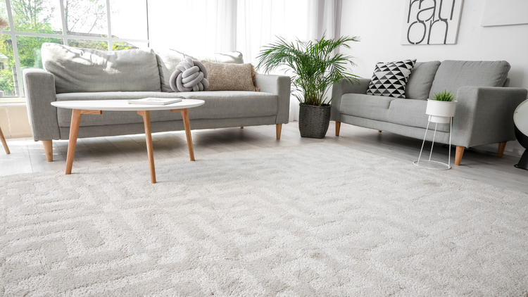 Why Carpet Is Still One of the Best Flooring Options for Your Home ...
