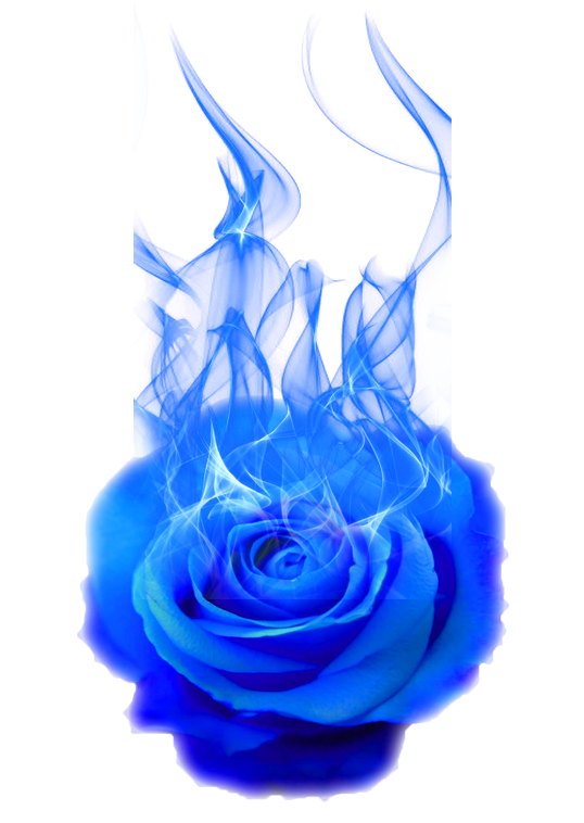 Temple of the Blue Flame — The Dolphin Rose Temple