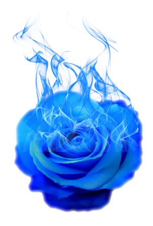 Temple of the Blue Flame — The Dolphin Rose Temple