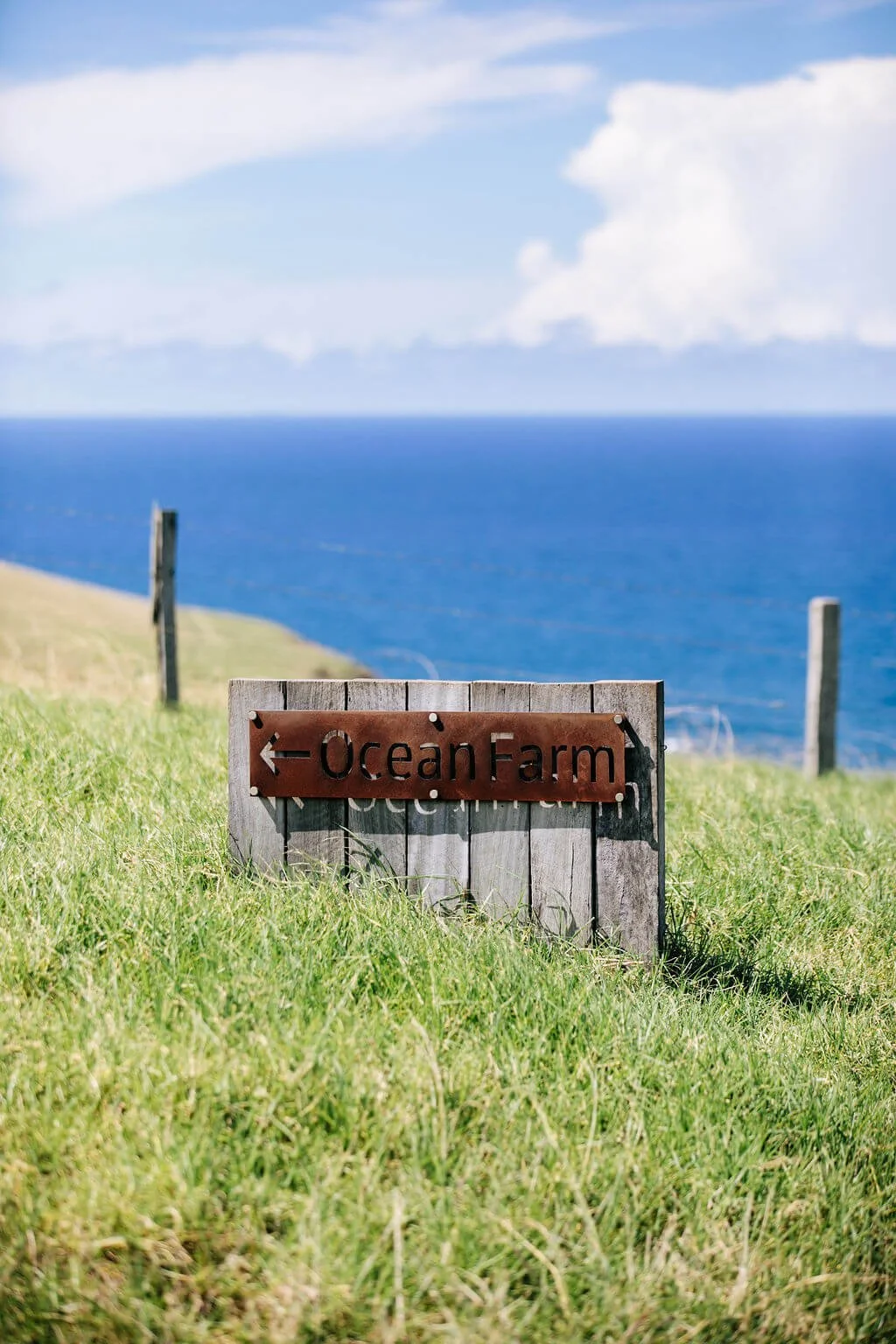 Photos — OCEAN FARM