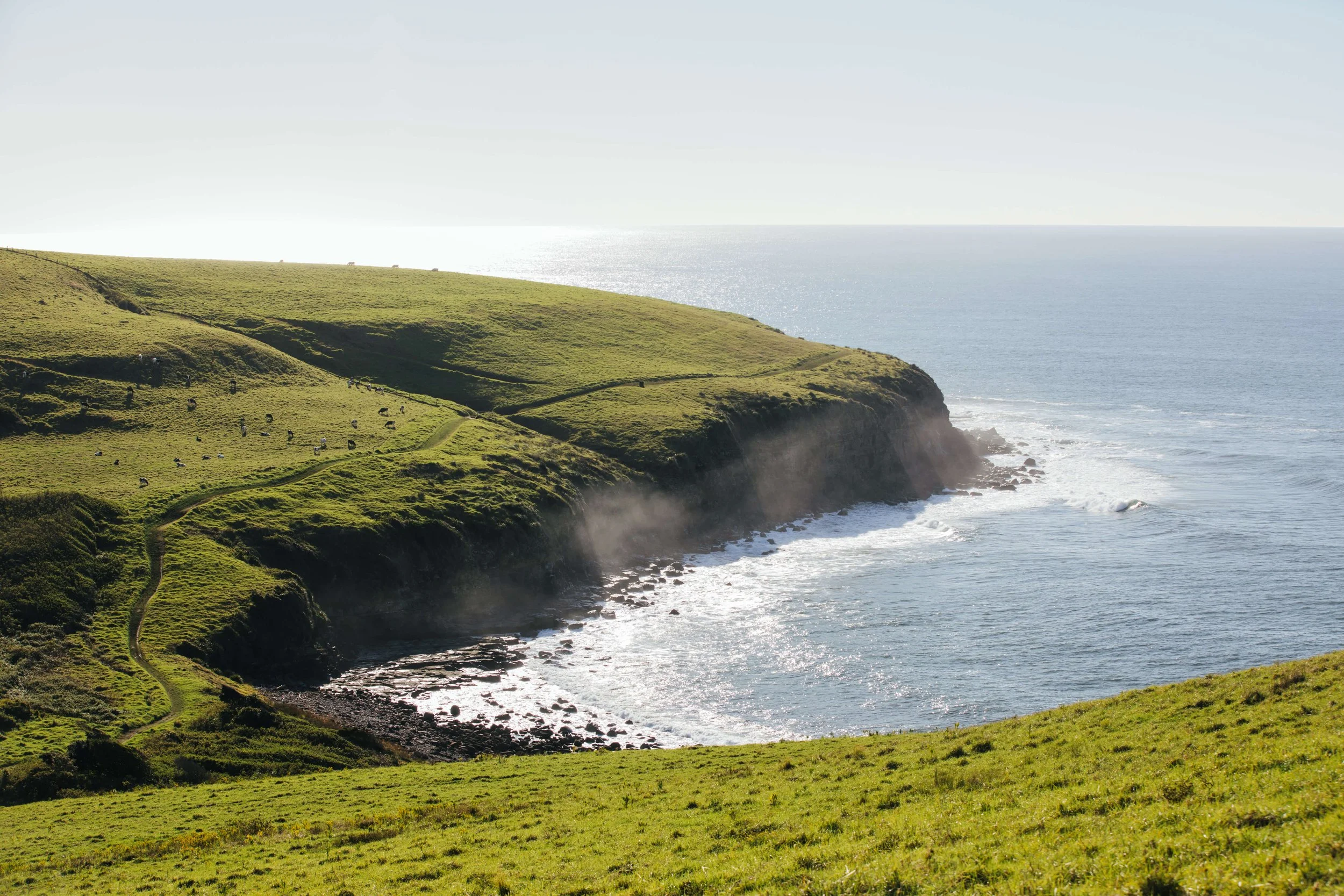 Photos — OCEAN FARM