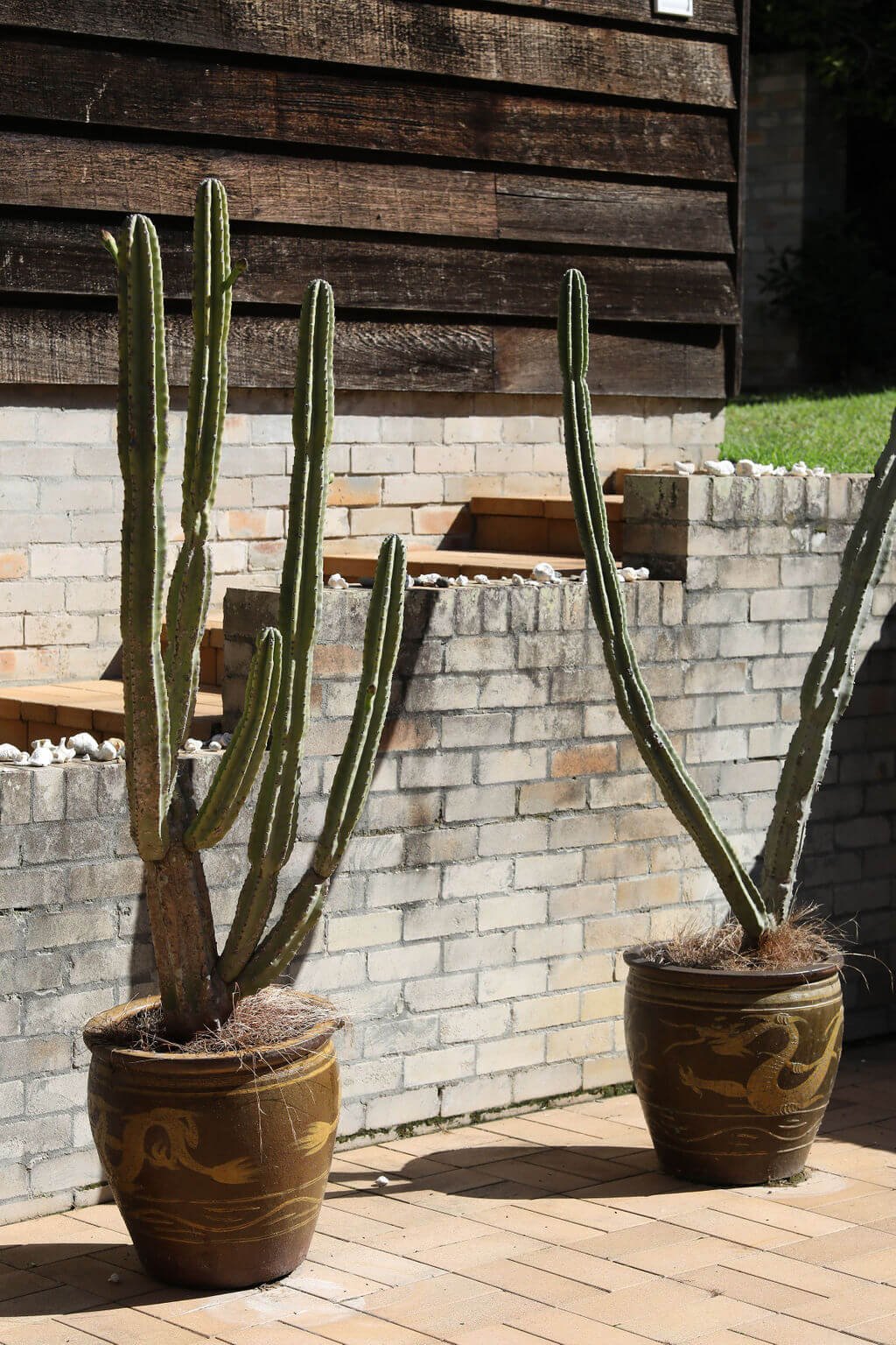 Photos — OCEAN FARM