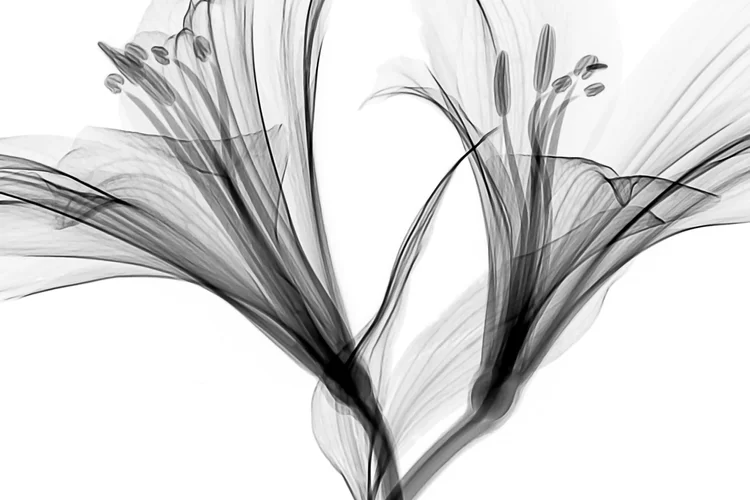 About — Just Practice Collaborative
