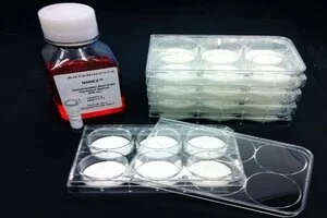 Fresh Hepatocytes and Cryopreserved Hepatocytes — MB Biosciences