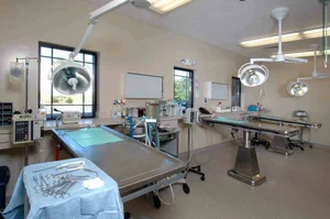 Grady — Veterinary Design Architects - Animal Hospital Design: Copich ...