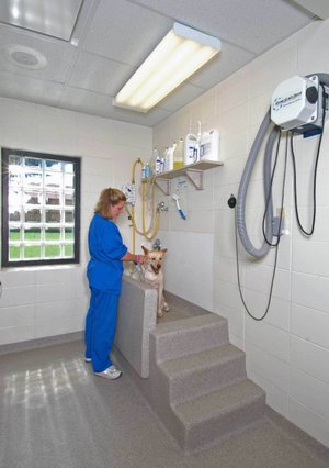 Grady — Veterinary Design Architects - Animal Hospital Design: Copich ...