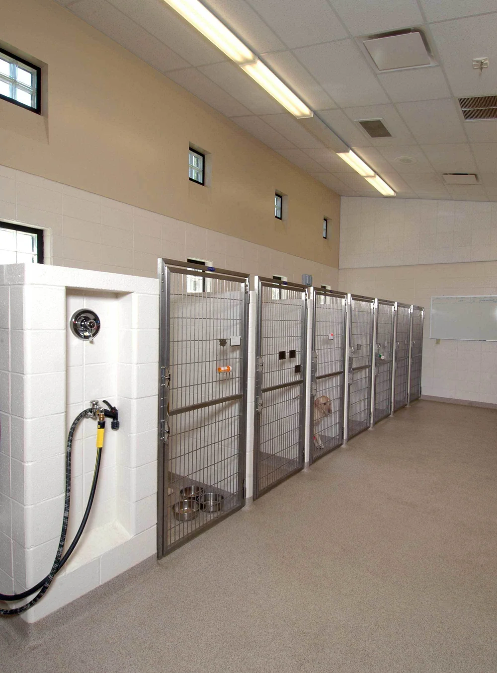 Grady — Veterinary Design Architects - Animal Hospital Design: Copich ...