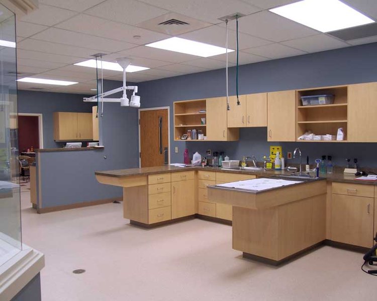 McKean Veterinary Hospital — Veterinary Design Architects - Animal ...