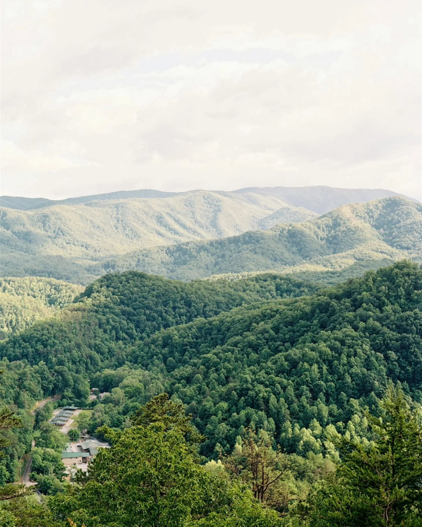 Sarah & Daniel's Haw Ridge Park Engagement — Knoxville Wedding ...