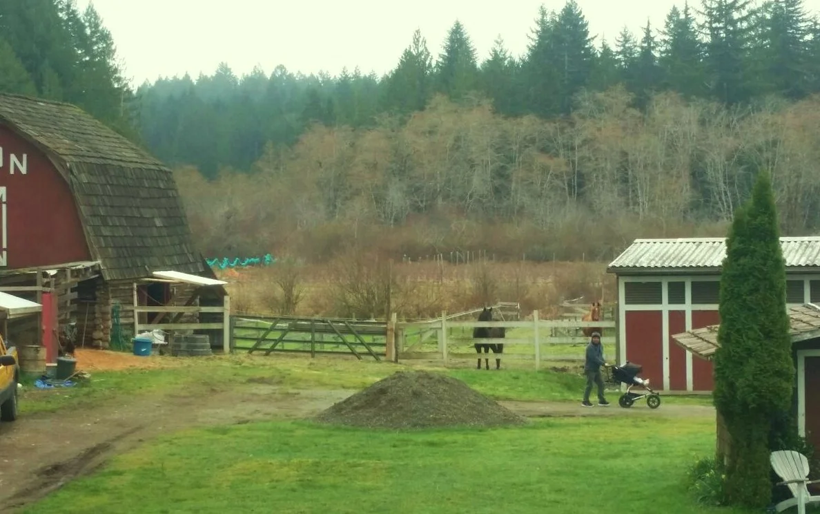 Vancouver Island — Stewards of Irreplaceable Lands