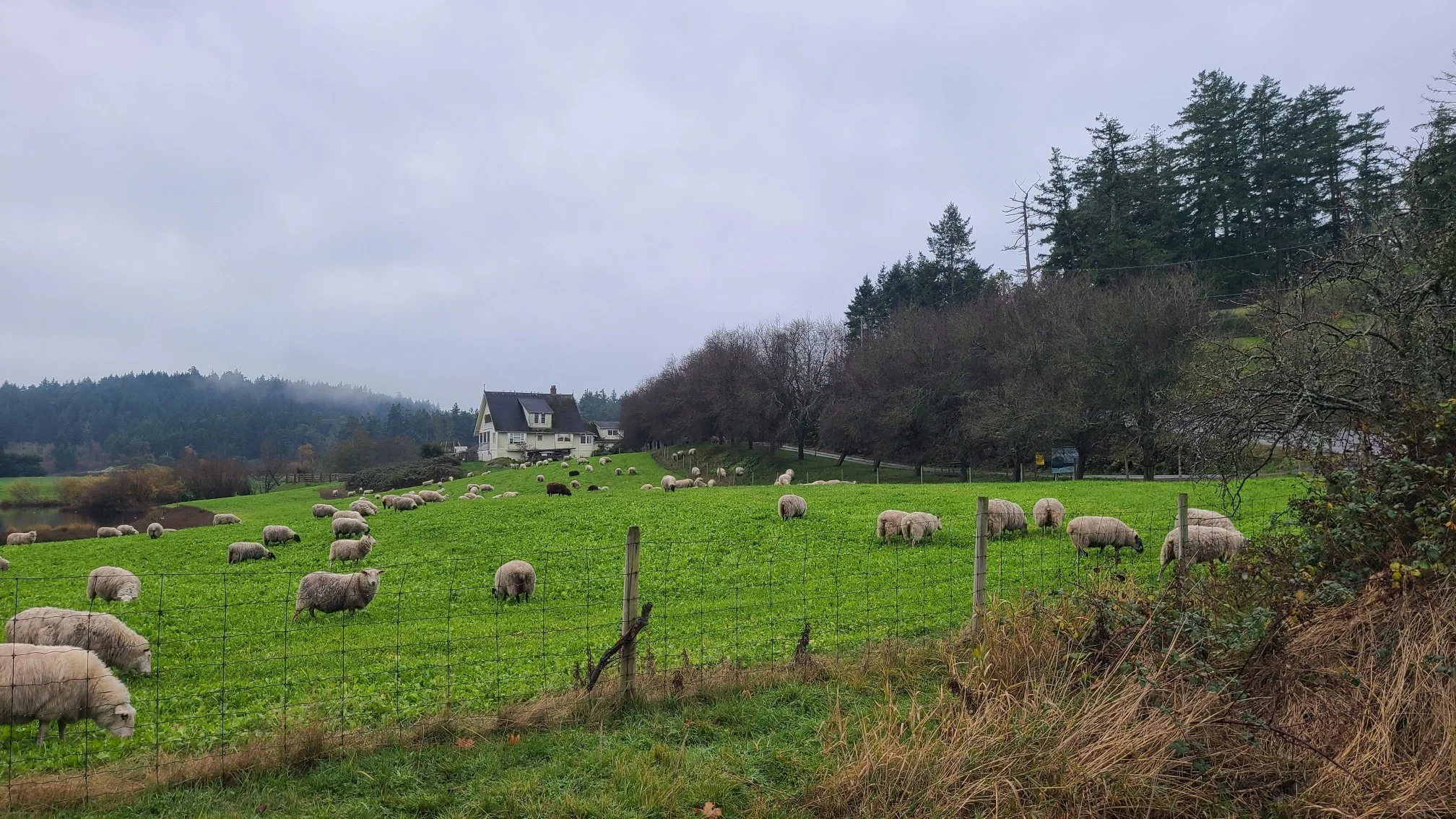 Vancouver Island — Stewards of Irreplaceable Lands