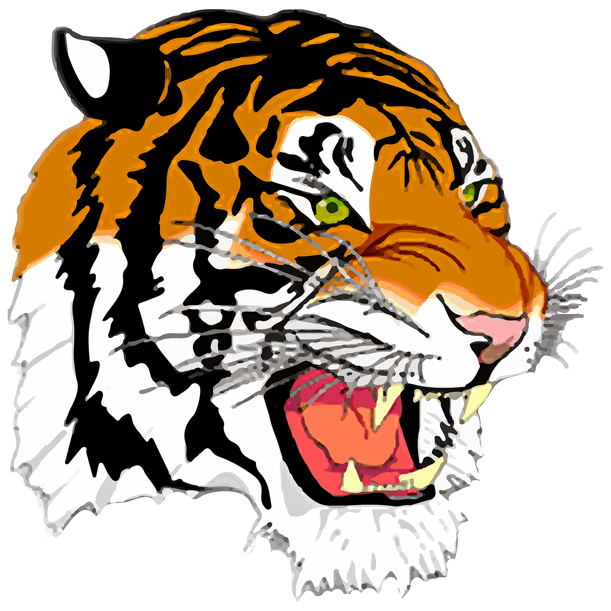 Edison Tigers Logo Burlington Edison Tigers — Hats Off