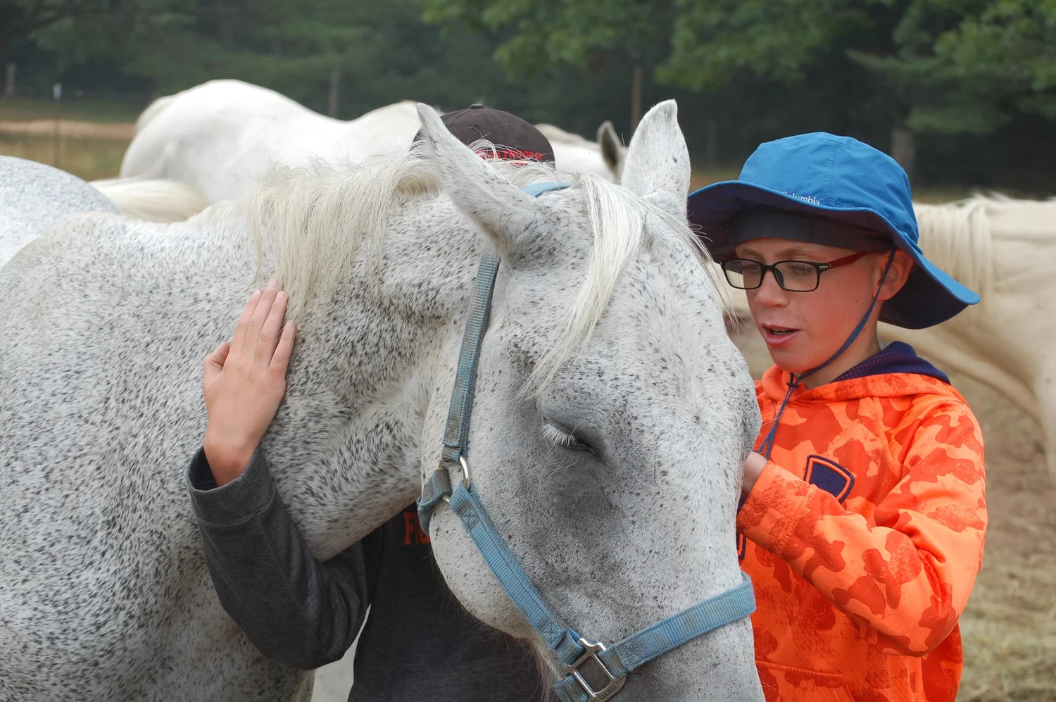 Owasippe Scout Reservation