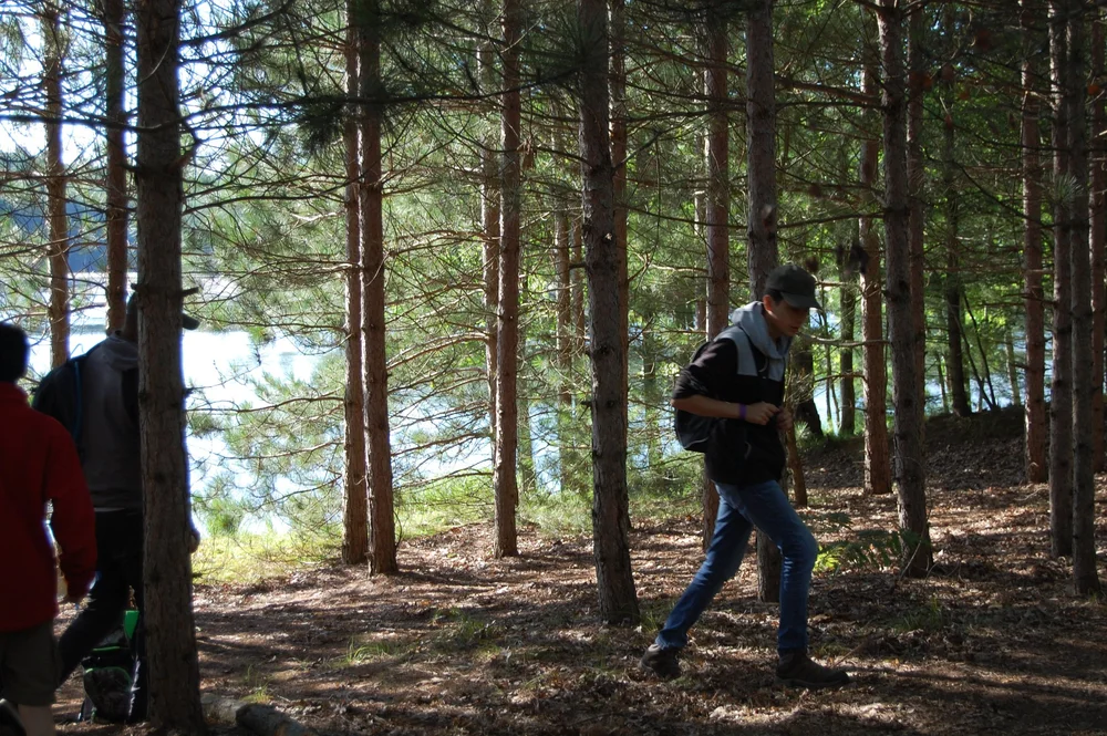 Owasippe Trail System — Owasippe Scout Reservation