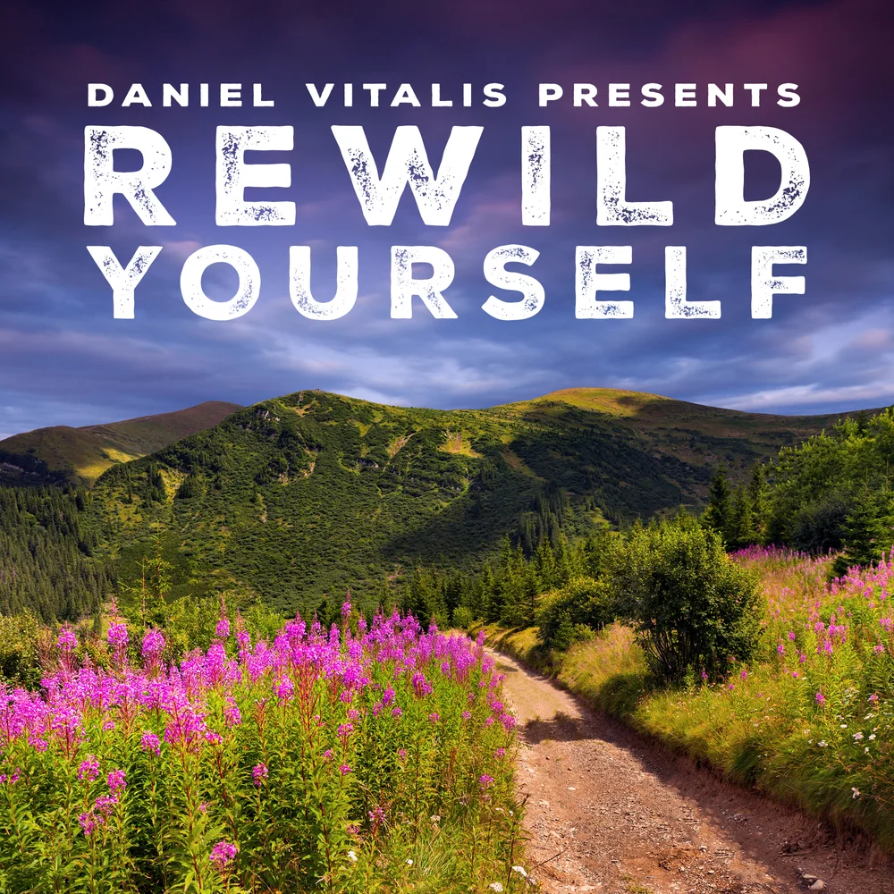 Why I Forage Wild Water - Daniel Vitalis #80 — Daniel Vitalis