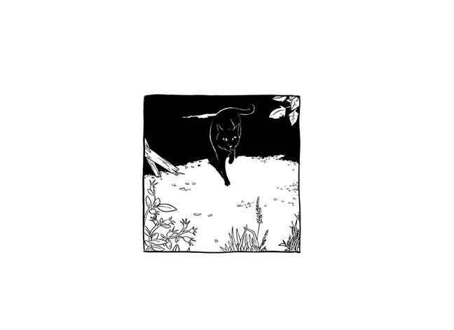 The Ashen Cat — Evan Palmer Comics