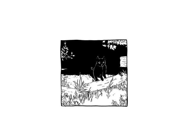 The Ashen Cat — Evan Palmer Comics