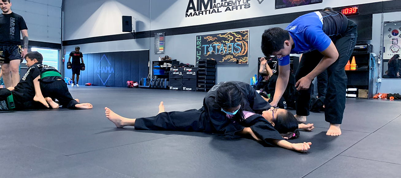MMA — Aim High Academy Of Martial Arts