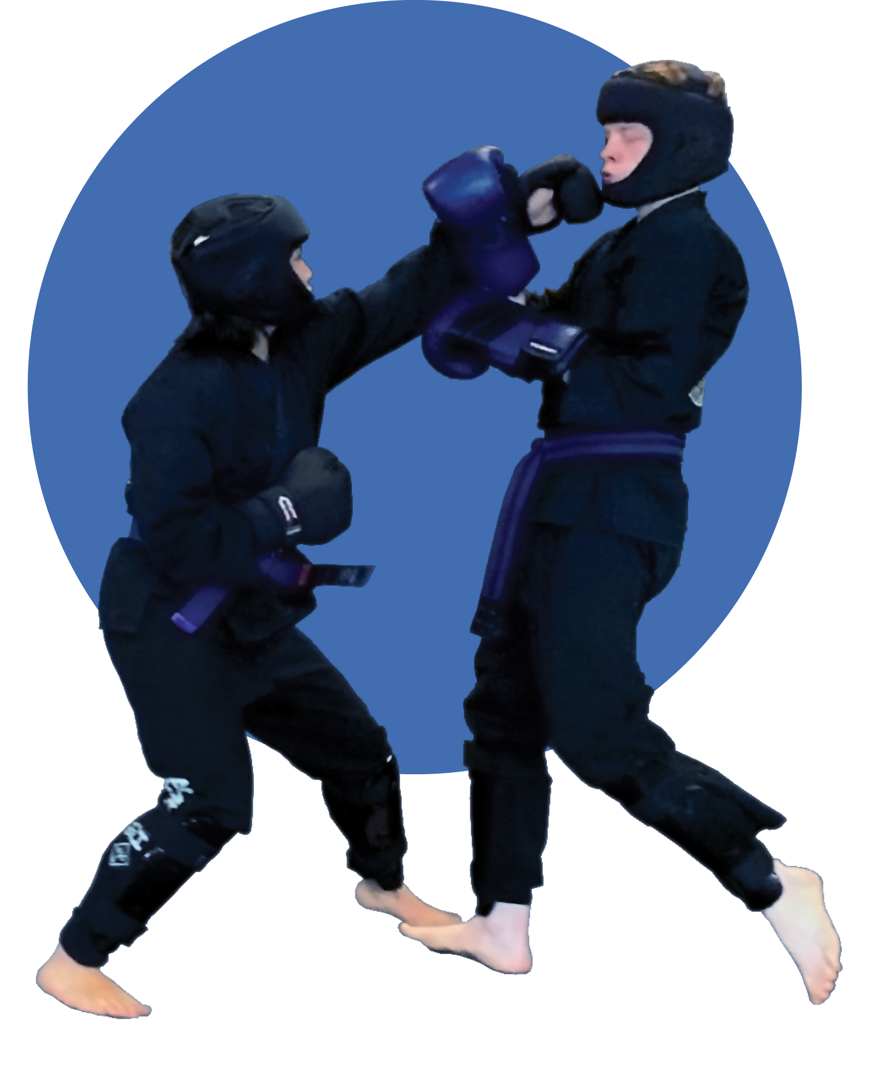 MMA — Aim High Academy Of Martial Arts